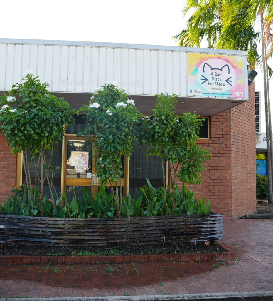 Home - A Safe Place for Meow Inc.